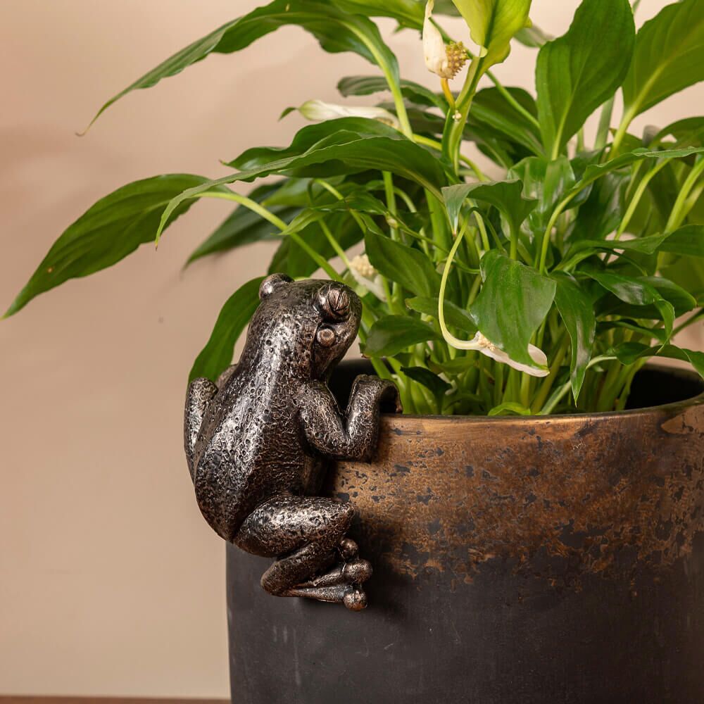POT BUDDIES: ANTIQUE BRONZE FROG - Flowers For All